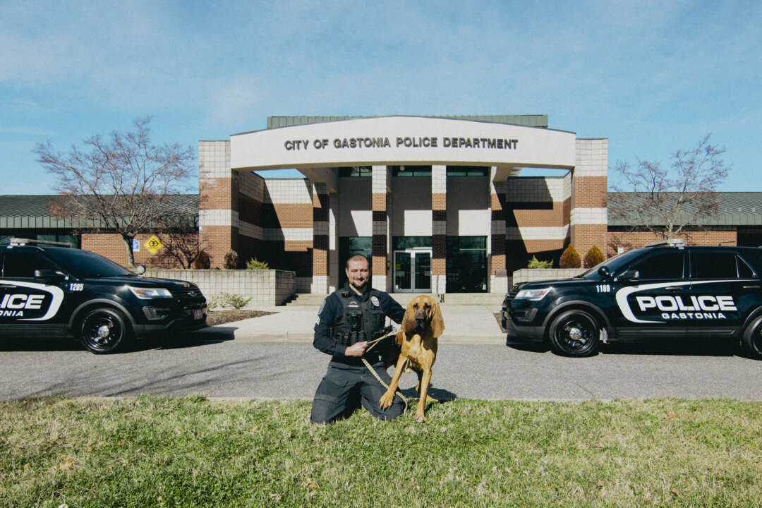 Meet the Adorable K-9 Bloodhound Dubbed America’s Hero Dog | The Epoch ...