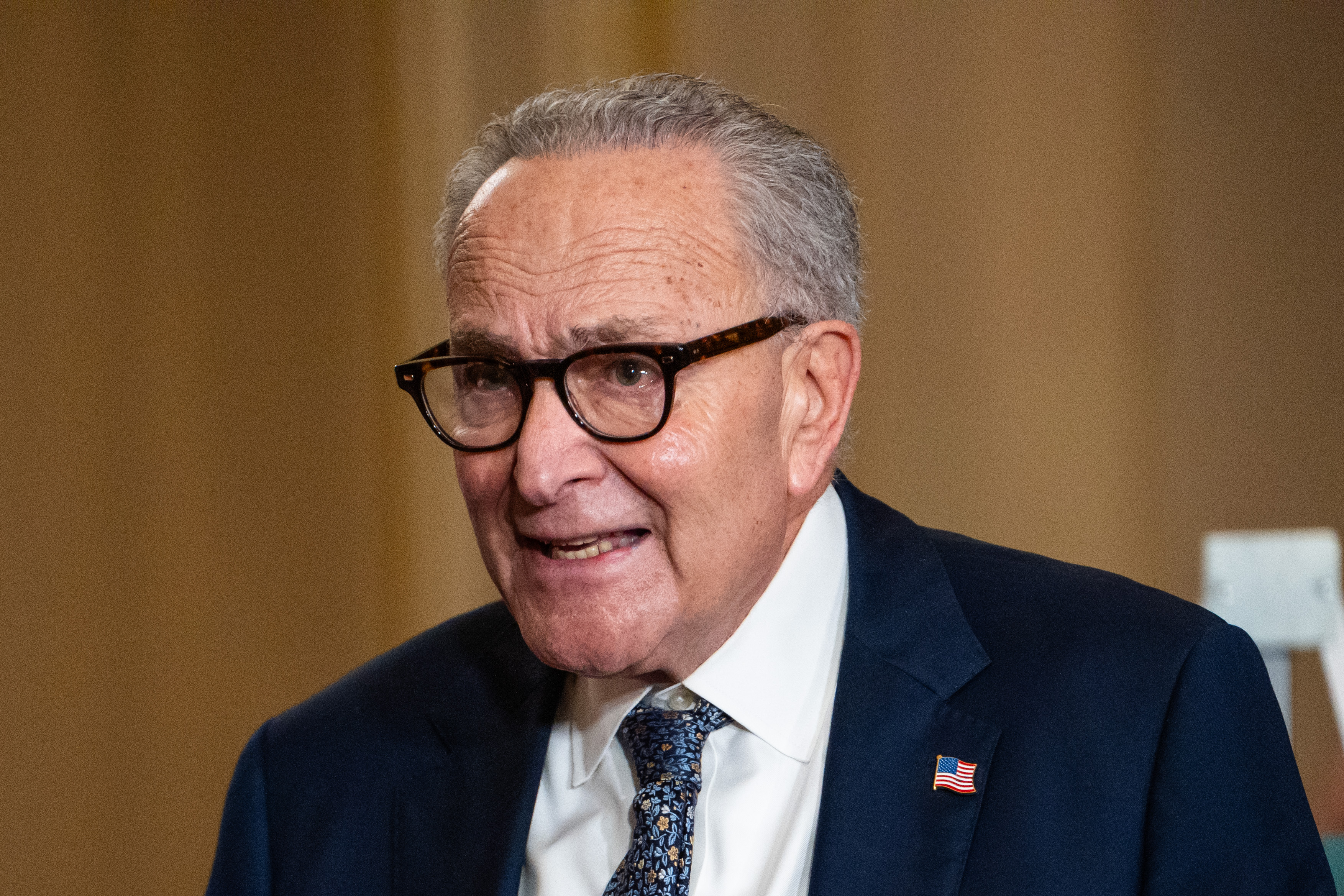 Schumer, Senate Democrats Hold Press Briefing on 3rd Day of Shutdown ...