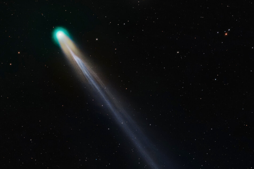 PHOTOS: Green Comet With Blue Tail Travels by Earth to Form Spectacular Trio of Comets Near Sun ...