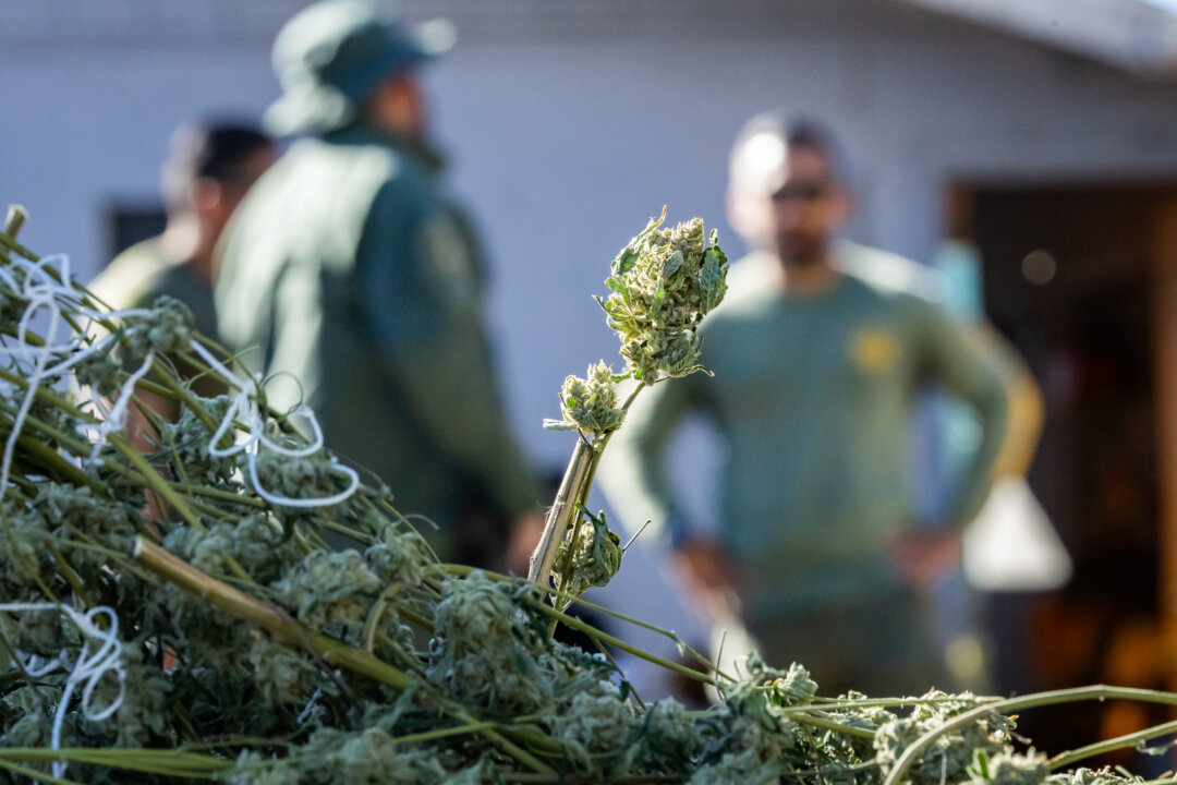 Sheriff’s Deputies Seize 210 Pounds of Illegal Weed in Riverside County ...