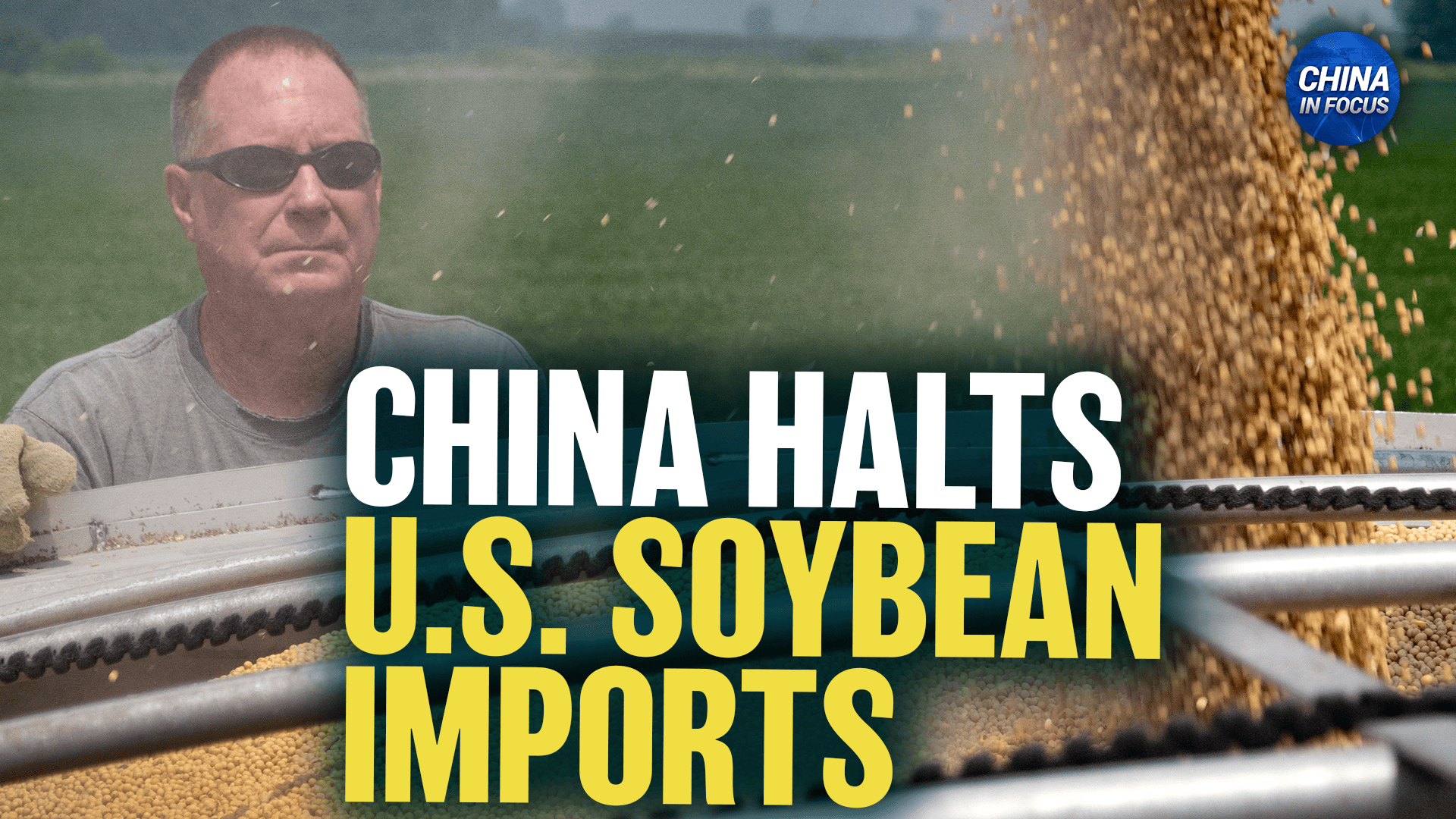 China Halts US Soybean Imports Despite Trade Deal | EpochTV