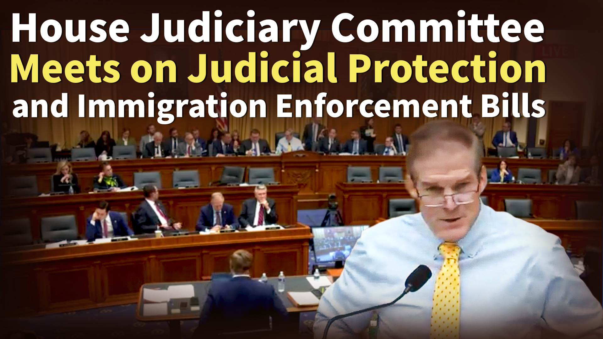 House Judiciary Committee Meets on Judicial Protection and Immigration ...
