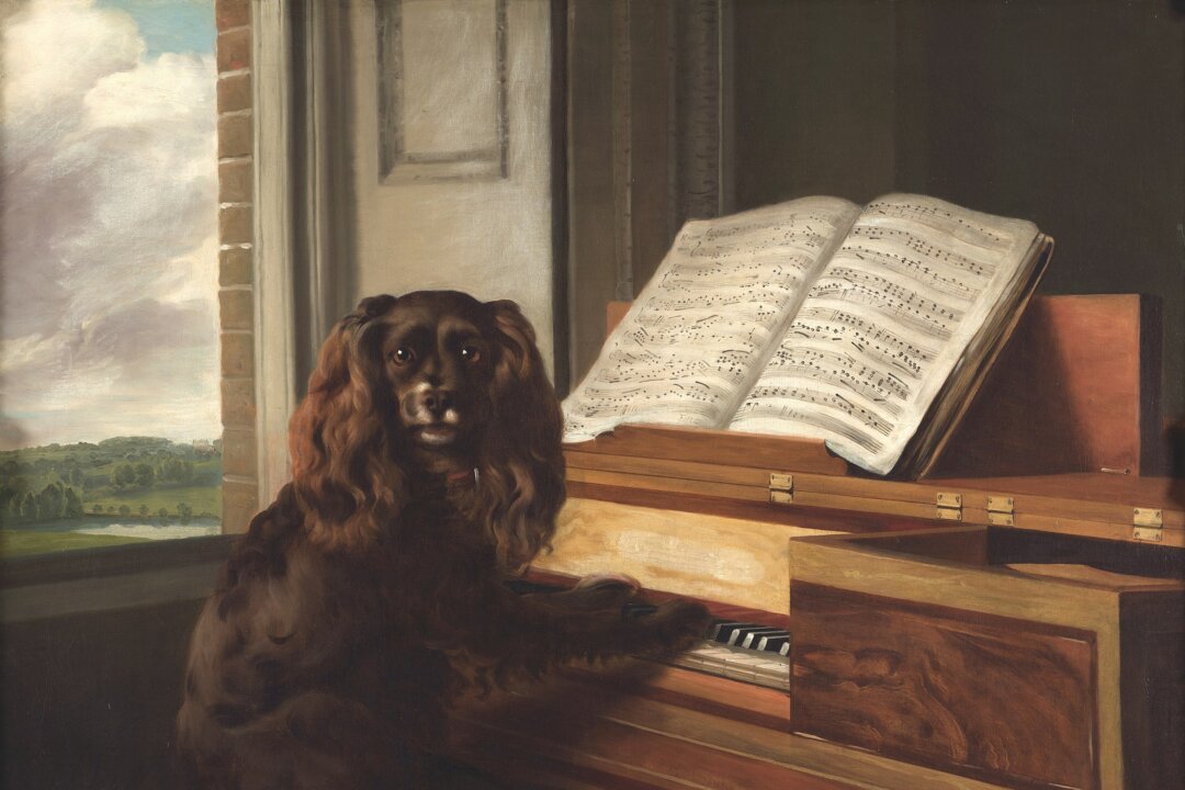 Three Easy Instruments for Beginner Musicians | The Epoch Times