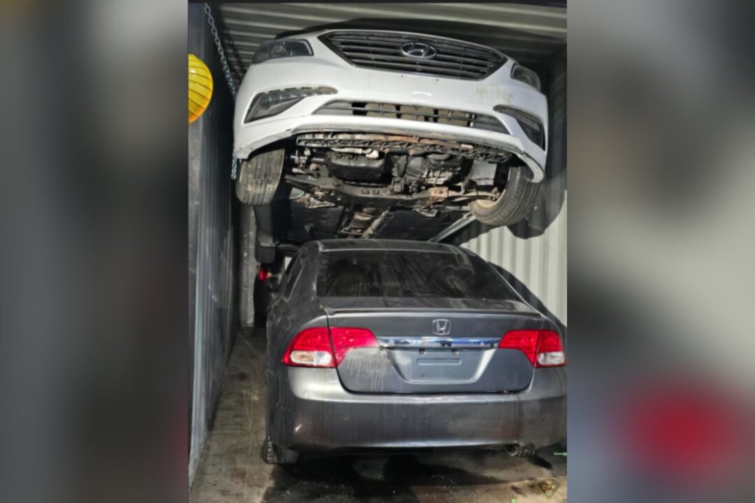 OPP, CBSA Arrest 20 People, Recover More Than 300 Vehicles in Major ...