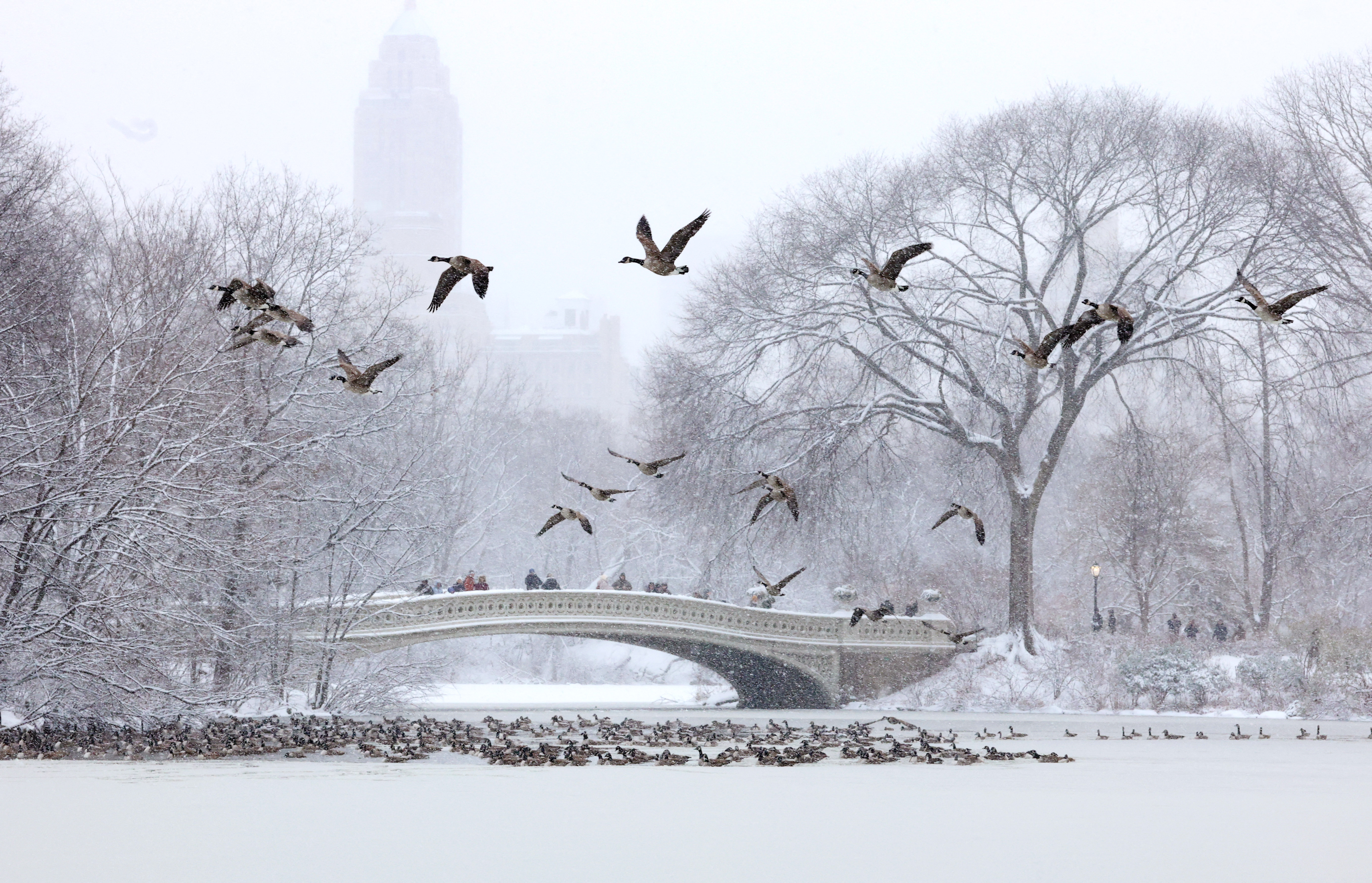 Lake-Effect Snow Blankets New York; Swiss Officials Work to Identify ...