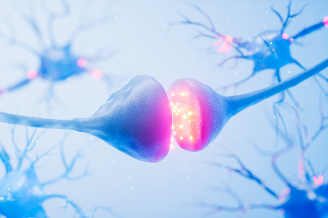 How to Feel Joy in a Dopamine-Saturated World | The Epoch Times