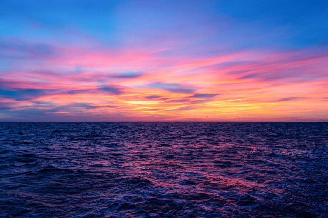 UN Global Treaty on Ocean Conservation Takes Effect | The Epoch Times