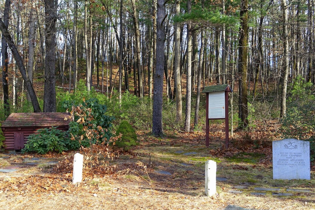 ‘Johnny Appleseed’: The Real Man Behind the Orchard and the Myth | The ...