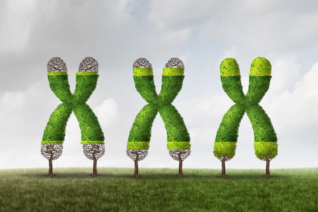 We Shorten Our Lives in All Kinds of Ways—But There May Be a Way to ...