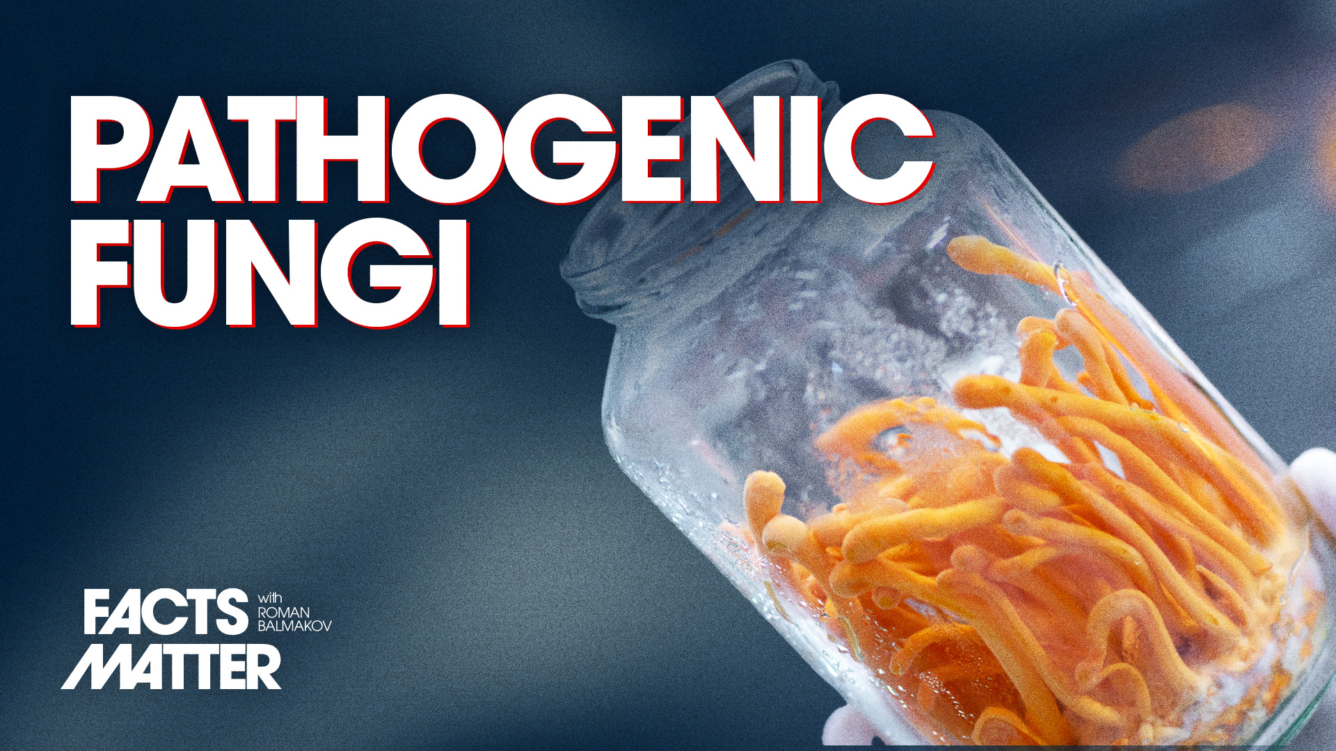 Two Pathogenic Fungi Crossed the Species Barrier—Can Now Infect Humans ...
