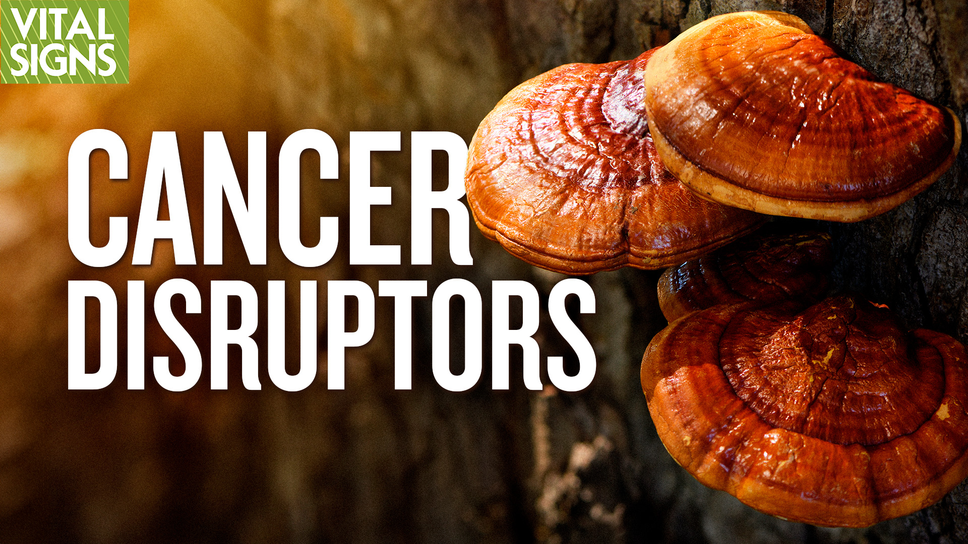 Anti-Cancer: Plants Versus Meds in Activating Immune Shield | EpochTV