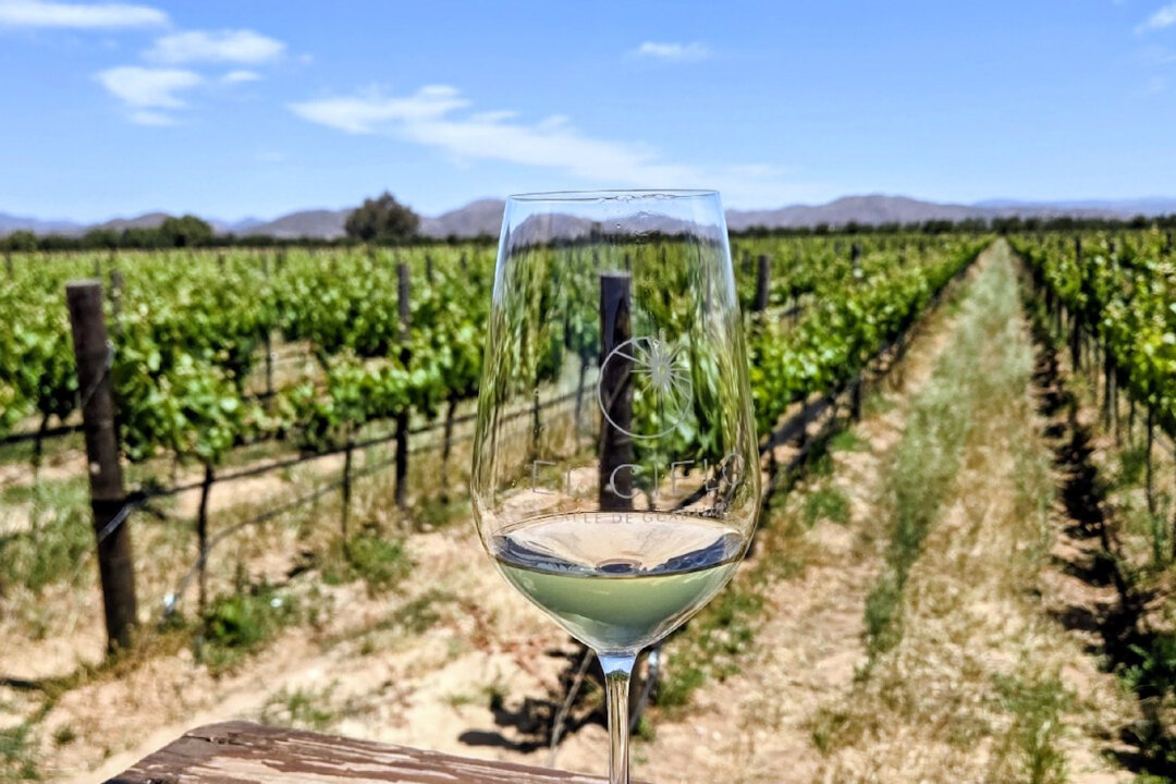 Days of Wine and Raptors at Mexico’s El Cielo Resort and Winery | The ...